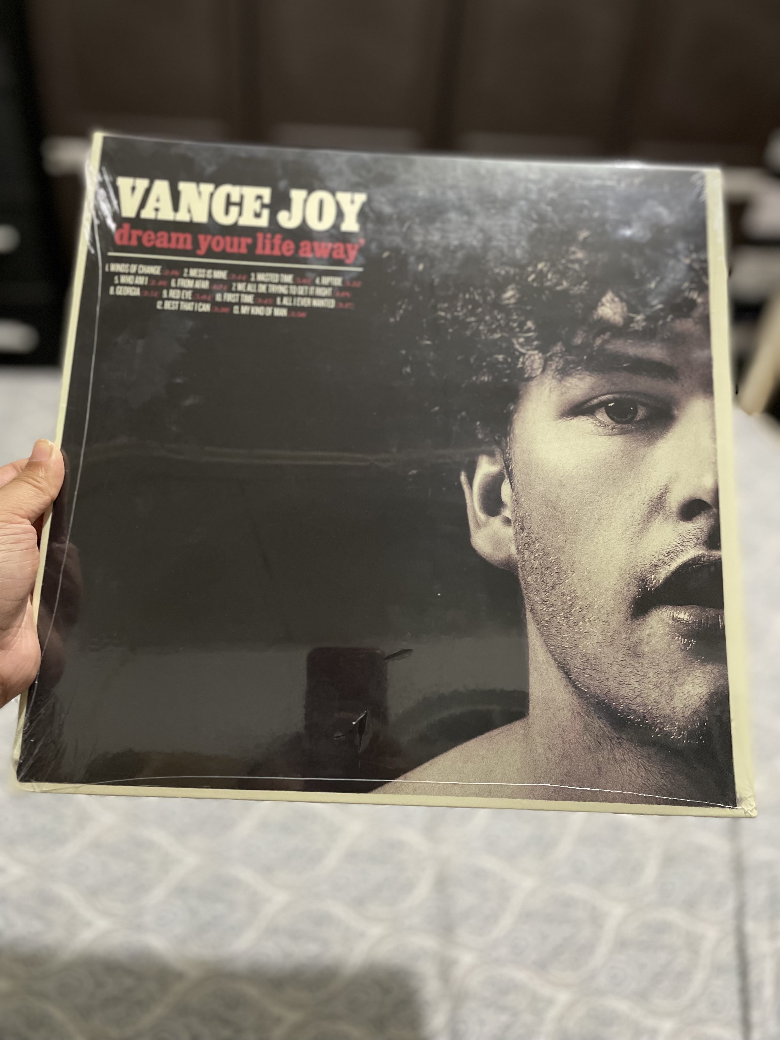 Vance Joy Dream Your Life Away