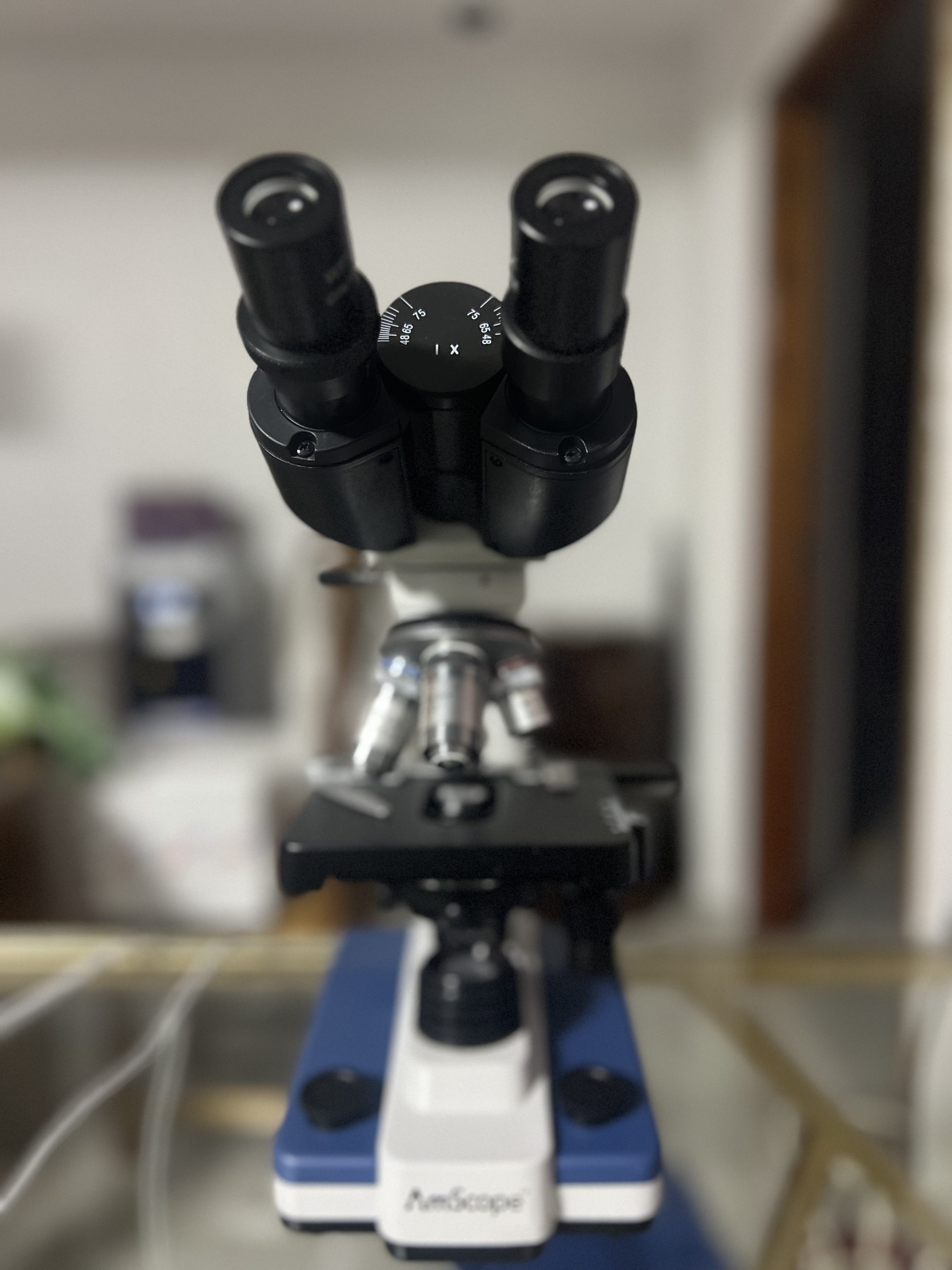 Microscopes For Adults AmScope 40X-2500X LED Lab Binocular Compound ...