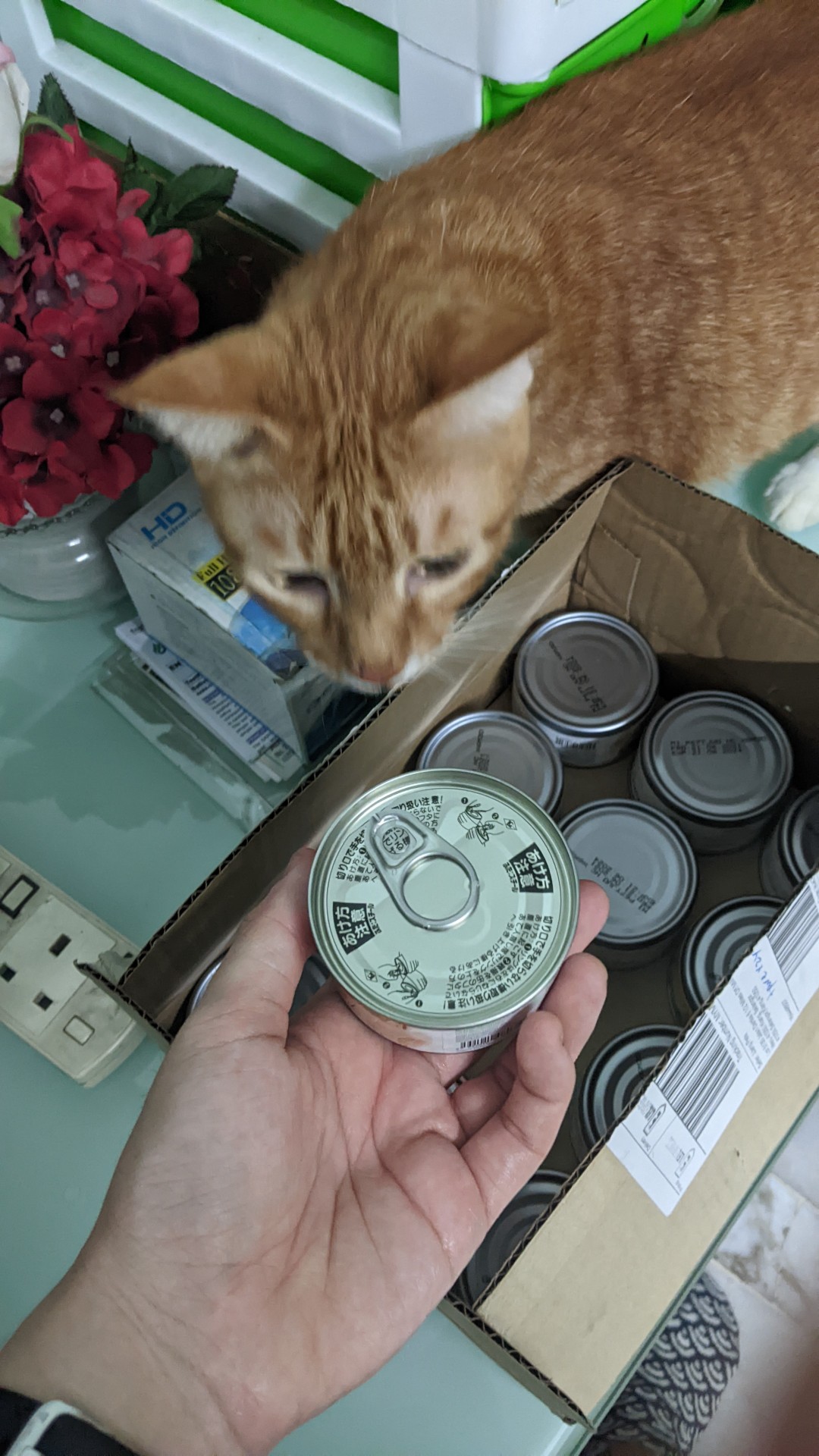 JJANGX3 | Premium Quality Ingredient Cat Food