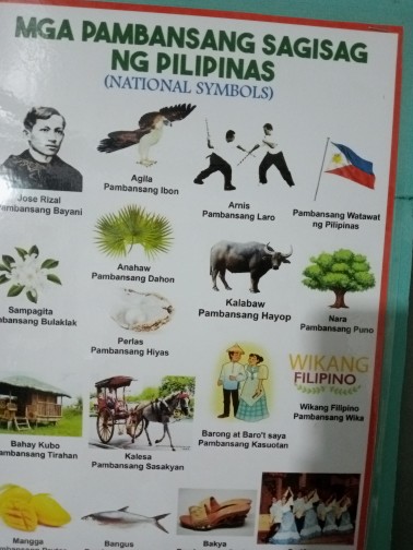 Laminated Pambansang Sagisag National Symbols A4