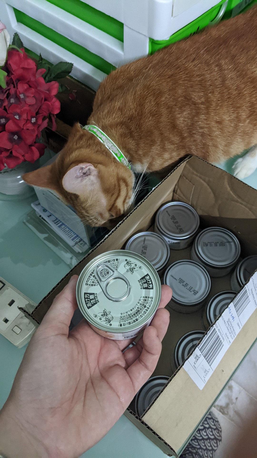 JJANGX3 | Premium Quality Ingredient Cat Food