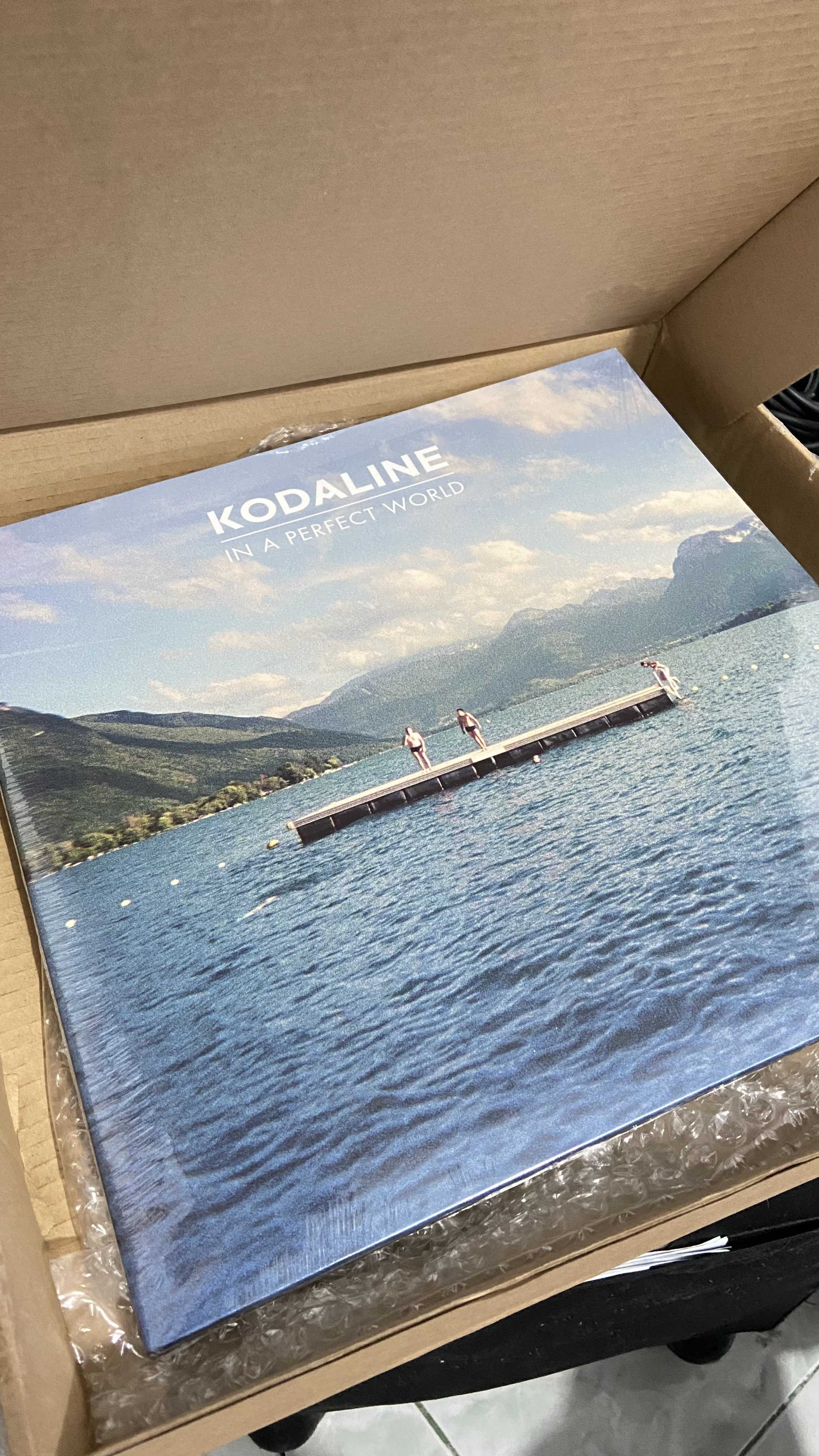 In A Perfect World Kodaline Album