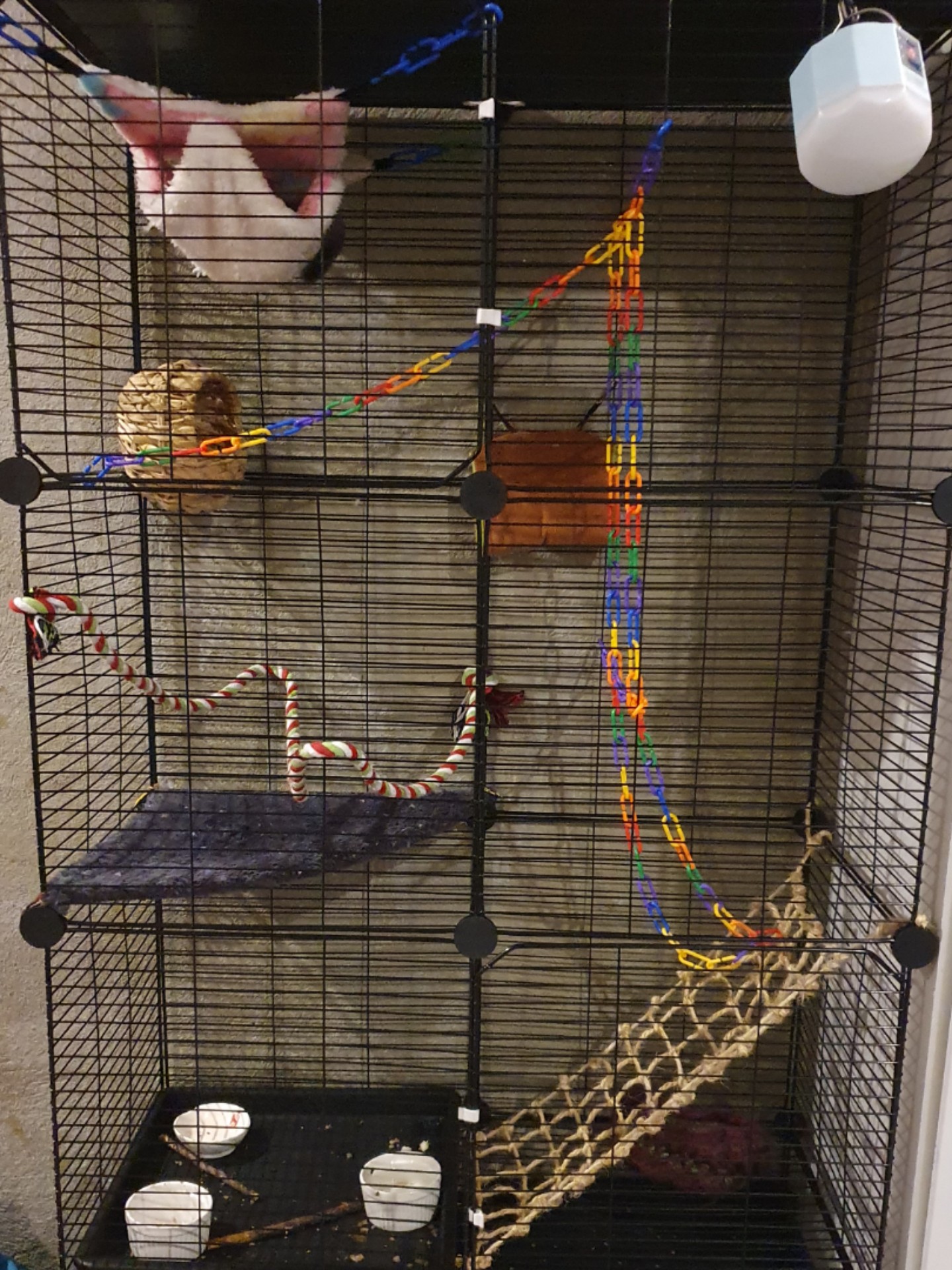 Flying Squirrel Cage Setup