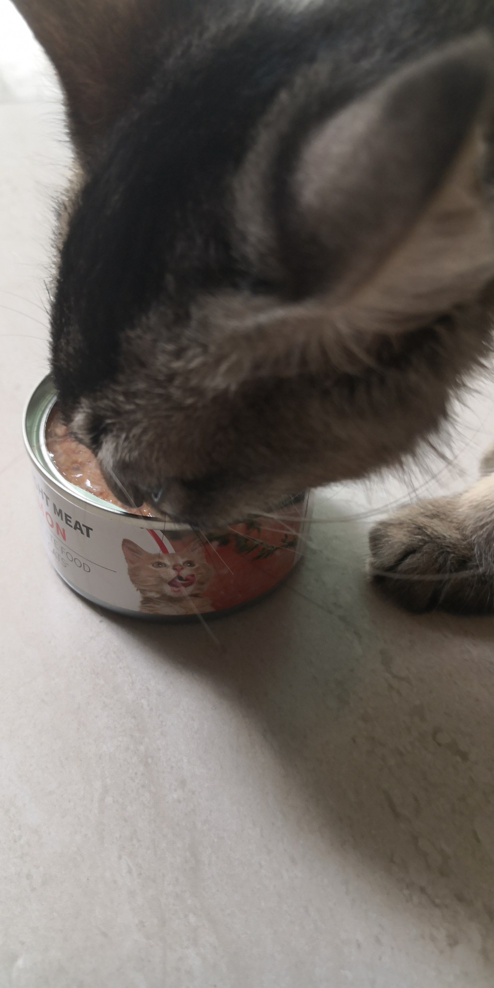 JJANGX3 | Premium Quality Ingredient Cat Food